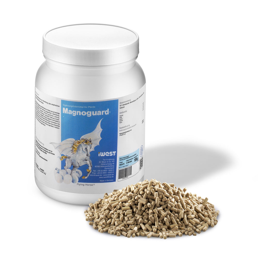 iWest Magnoguard® | Magen Deines Pferdes schützen | care4animals.de